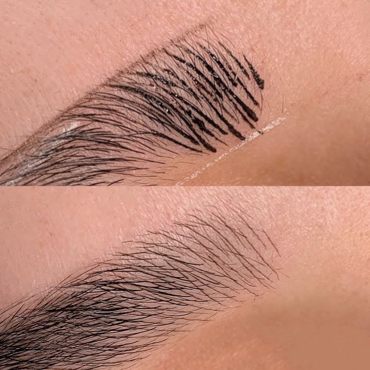 ¿Cuándo baja el color en la micropigmentación de cejas? Todo lo que ...